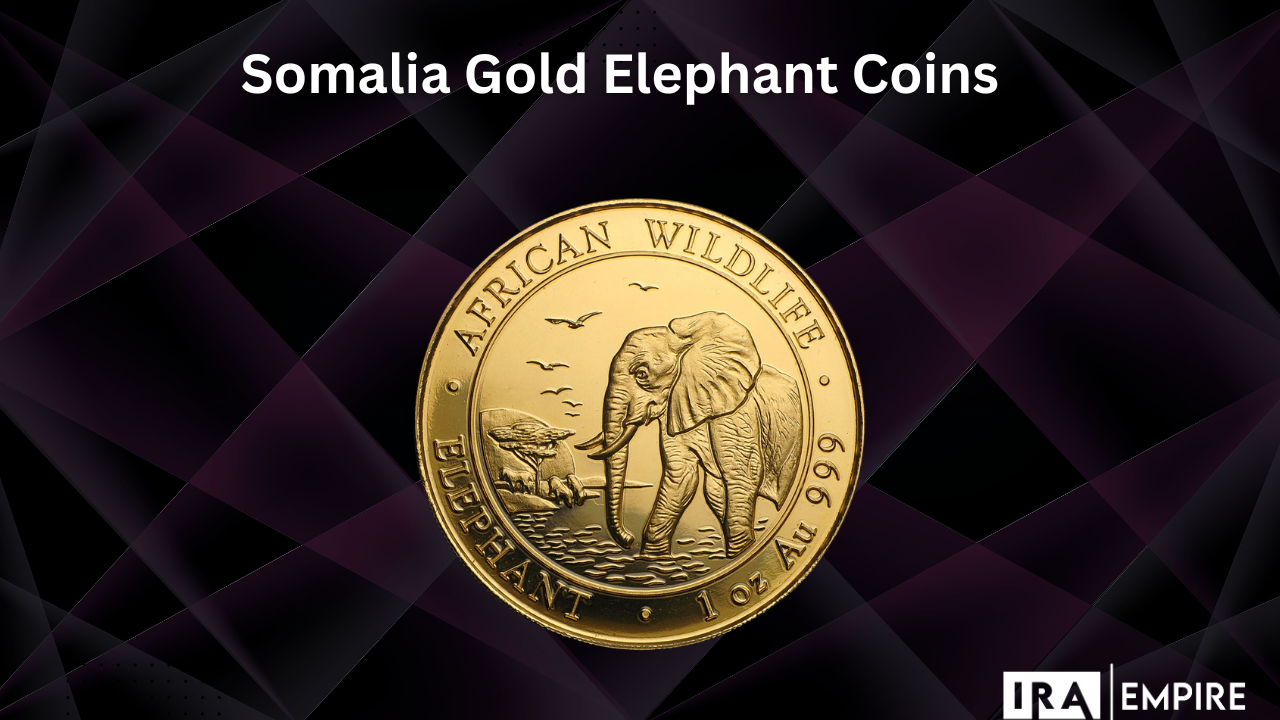 Somalia Gold Elephant Coins - History & Disgn (Updated 2023) (September ...