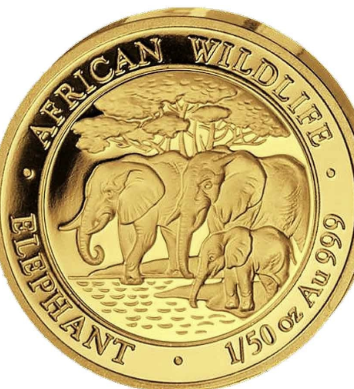 Somalia Gold Elephant Coins - History & Disgn (Updated 2023) (September ...